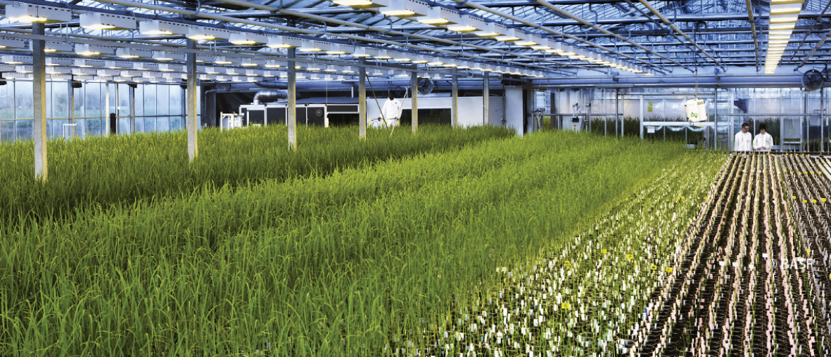 Dotmatics Customers | Successes Stories and Testimonials