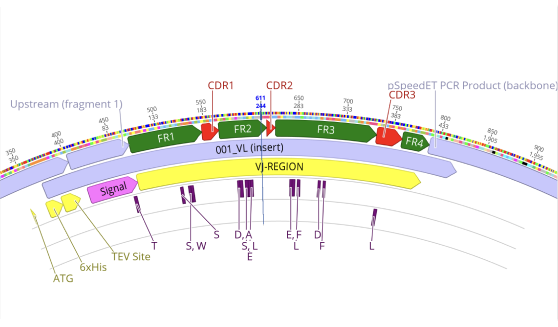 Geneious Luma | End-to-End Antibody Discovery Platform for Biologics R&D